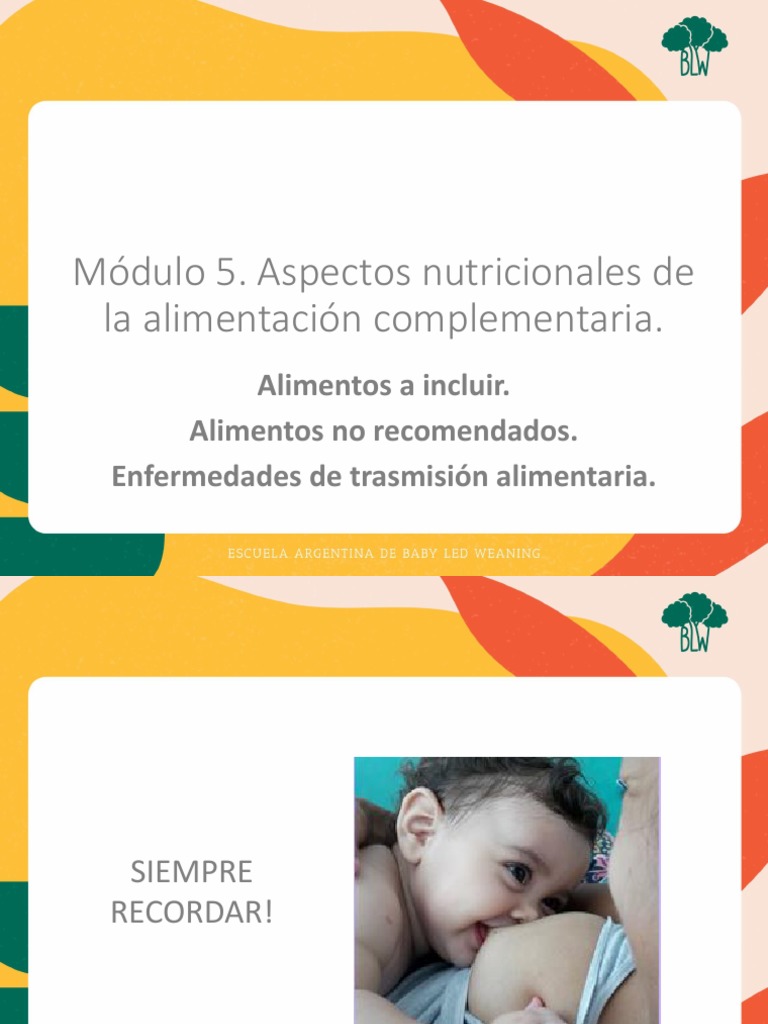 Módulo 5. Aspectos Nutricionales de La Alimentación Complementaria | PDF