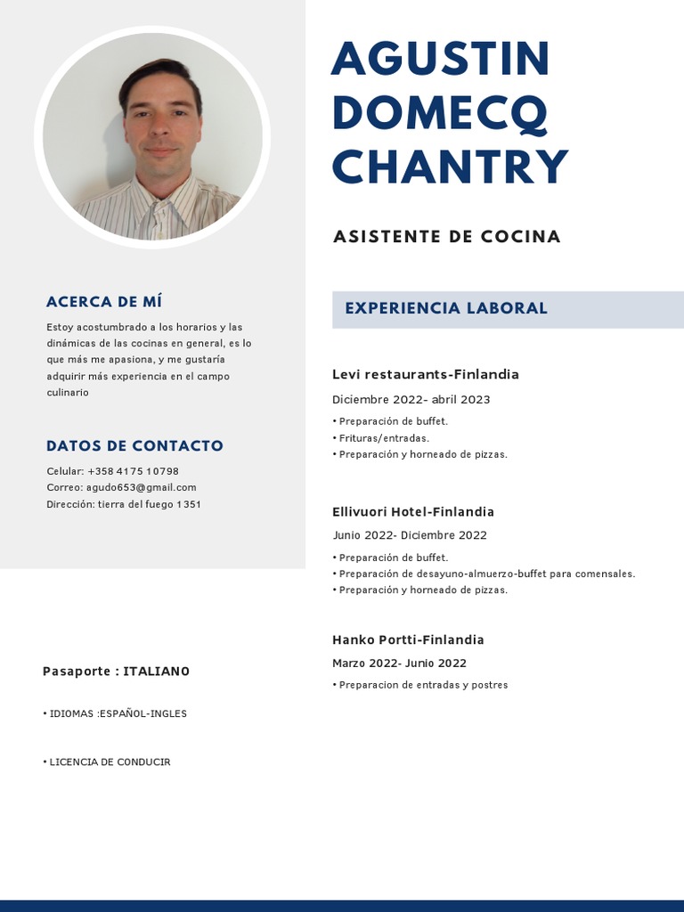 CV Agustin Domecq Chantry | PDF
