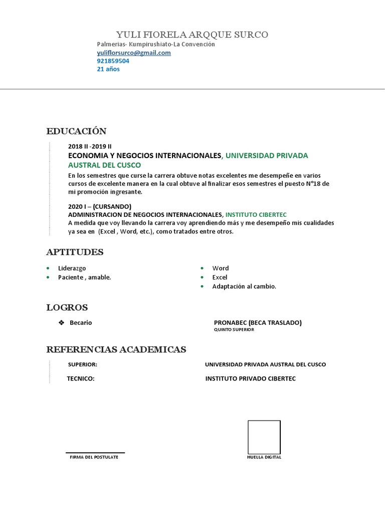 Yuli Fiorela Arqque Surco CV | PDF