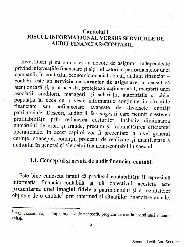 Sorinel Domnișoru Audit Financiar Contabil | PDF