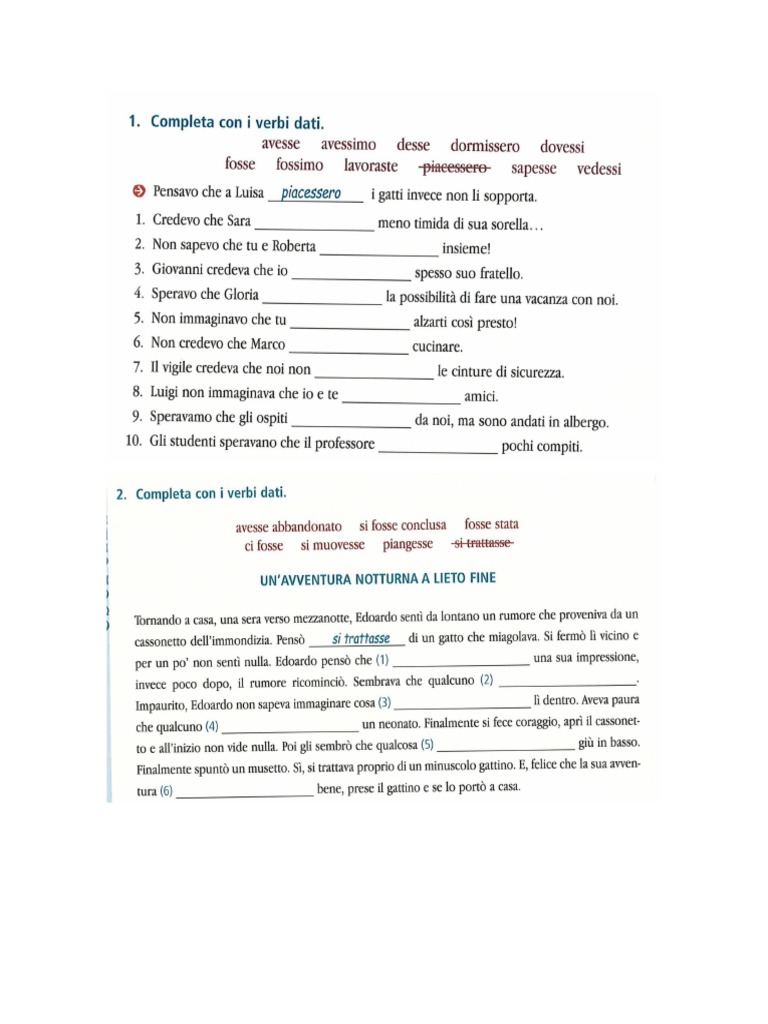 Esercizi Congiuntivo Imperfetto e Trapassato | PDF