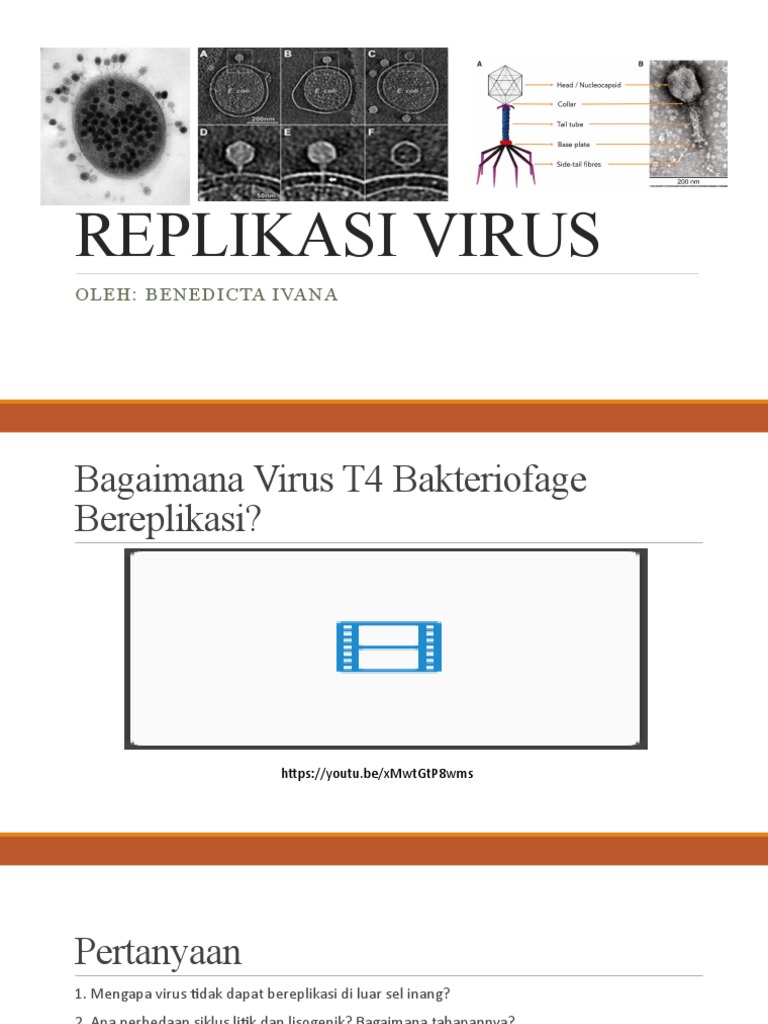 Replikasi Virus: Siklus Litik dan Lisogenik | PDF
