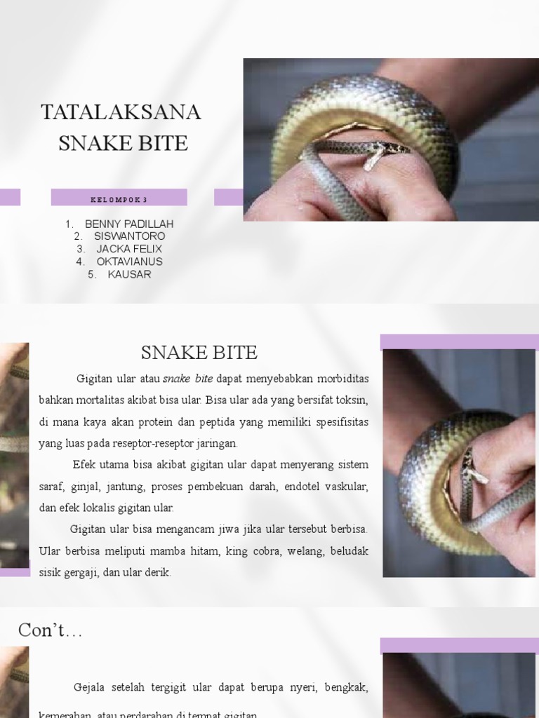 TATALAKSANA SNAKE BITE (Kel3) | PDF
