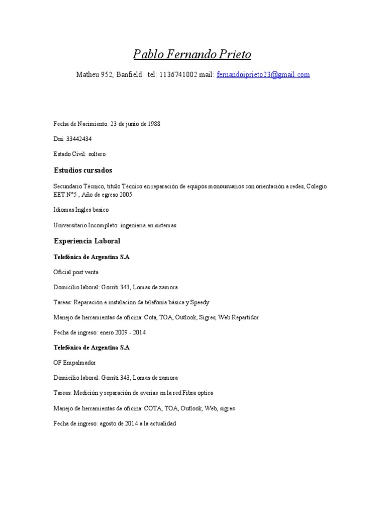 CV Pablo Prieto | PDF