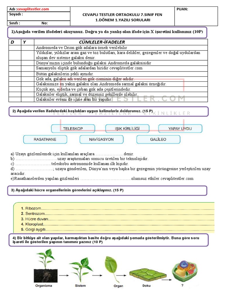 7.sinif Fen 1.dönem 1.yazili Sorulari-1 | PDF