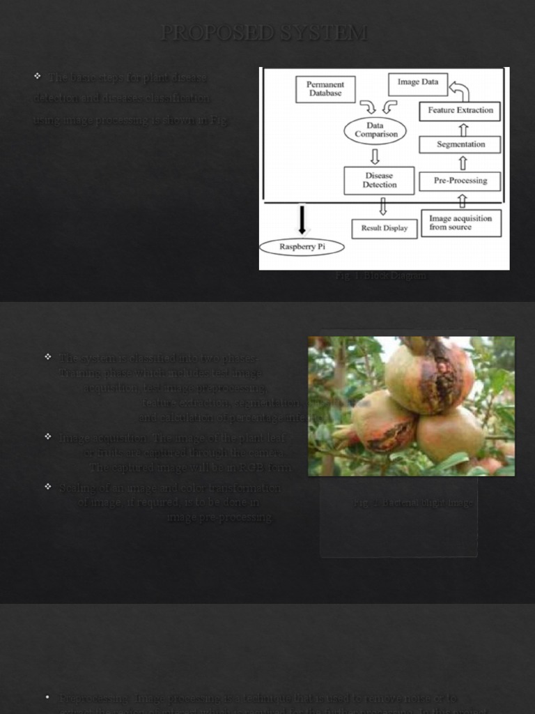 Plant Proposed System | PDF | Image Segmentation | Algorithms