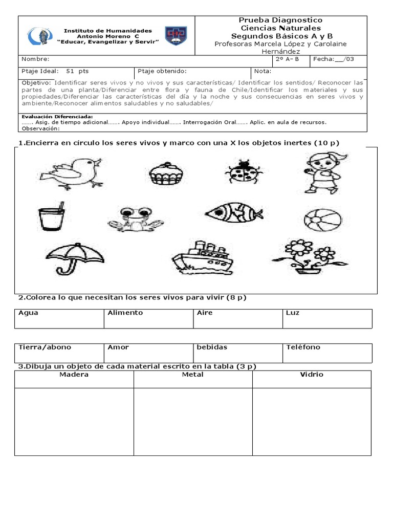 Prueba Diagnostico Ciencias Segundos Basicos | PDF | Alimentos | Plantas