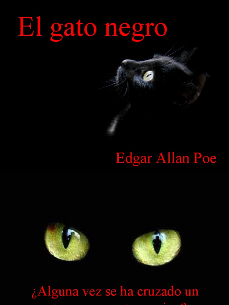El Gato Negro | PDF | Edgar Allan Poe | Gatos