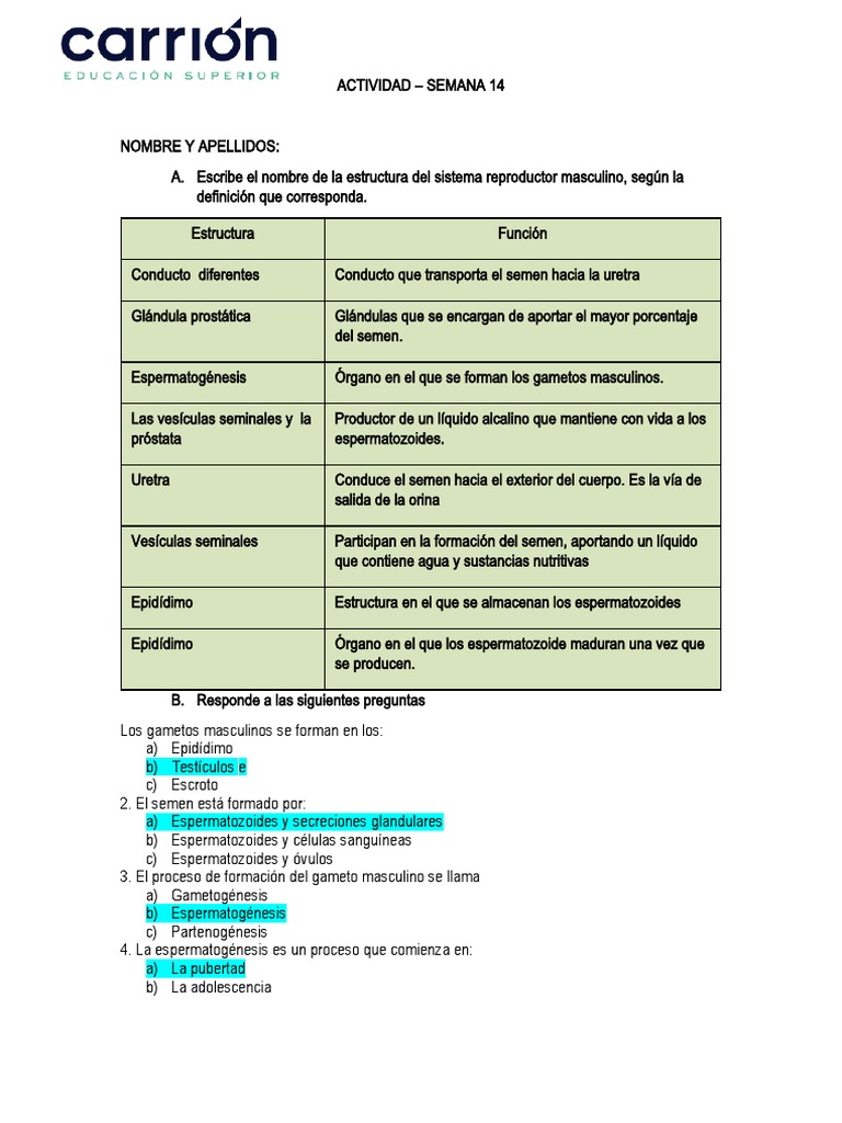 Actividad 14 | PDF