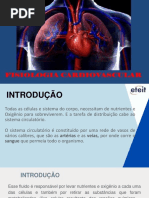 Circulação Colateral: Mecanismos, Importância Clínica e Implicações No ...