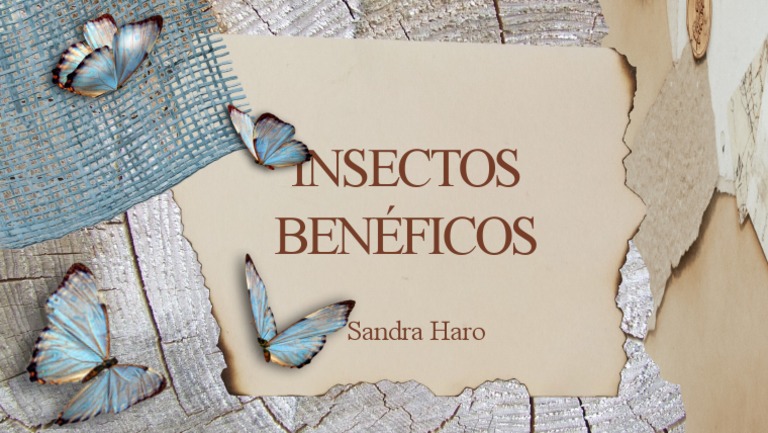 Presentación Insectos Benéficos Vintage Scrapbook Beige y Azul.pptx | PDF