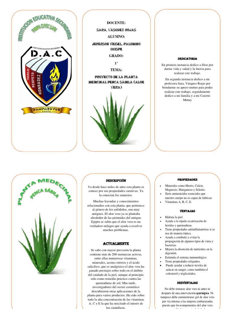 Planta Medecinal Penca Sabila | PDF | Nutrición | Dieta y nutrición