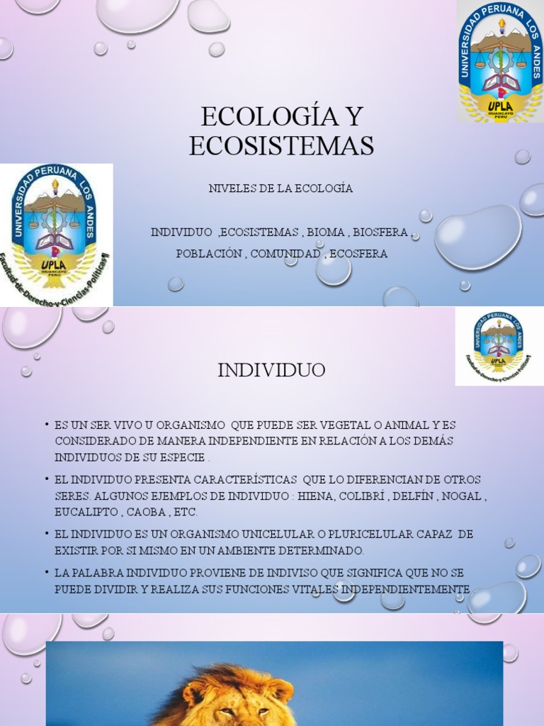 Individuo Poblacion Comunidad | PDF | Ecosistema | Ecología