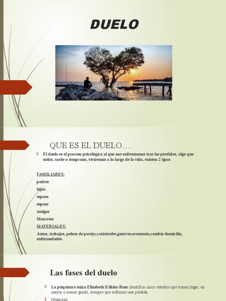 Fases del Duelo: Entendiendo el Proceso | PDF