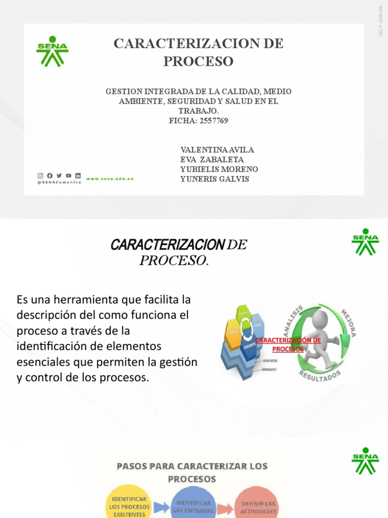 Caracterizacion de Proceso | PDF