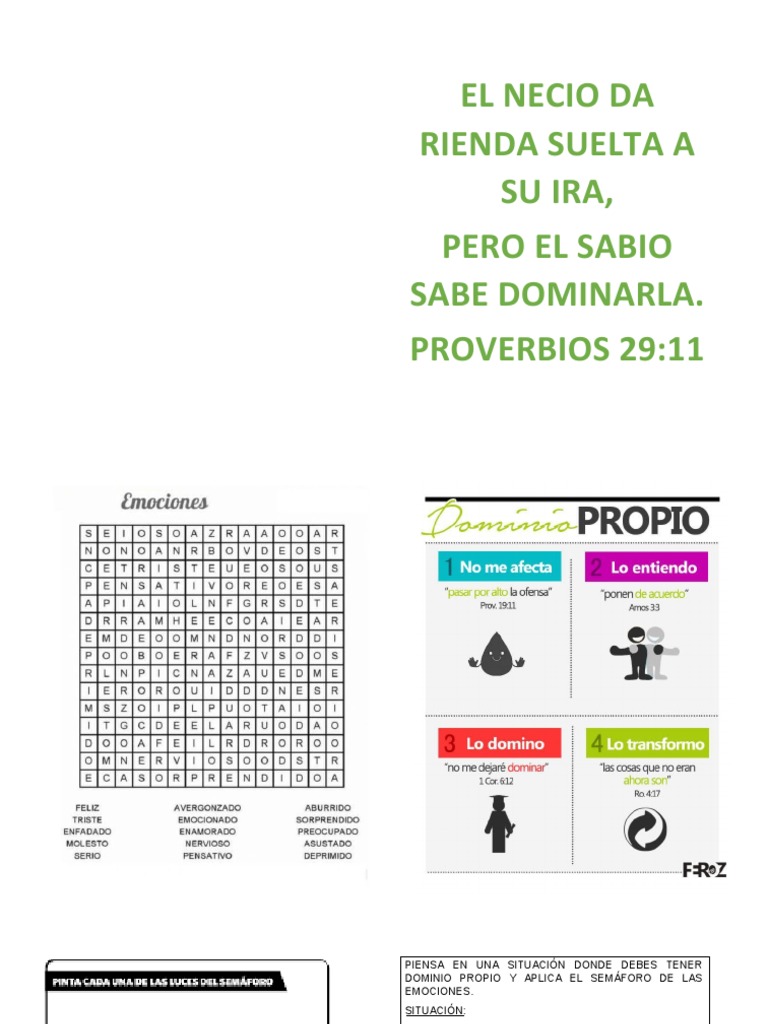 Clase dominio propio | PDF