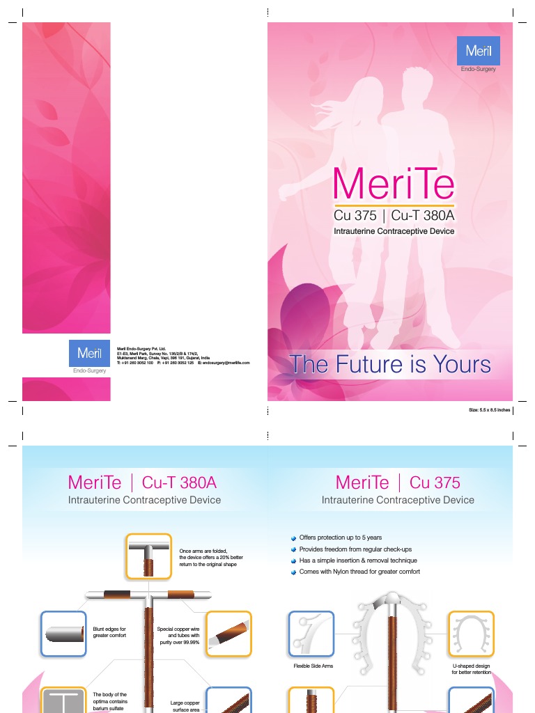 An Overview of the MeriTe Cu 375 and Cu-T 380A Intrauterine ...