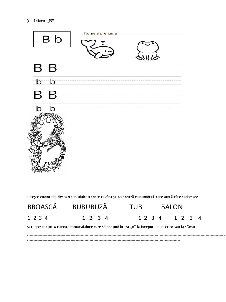 Litera B | PDF