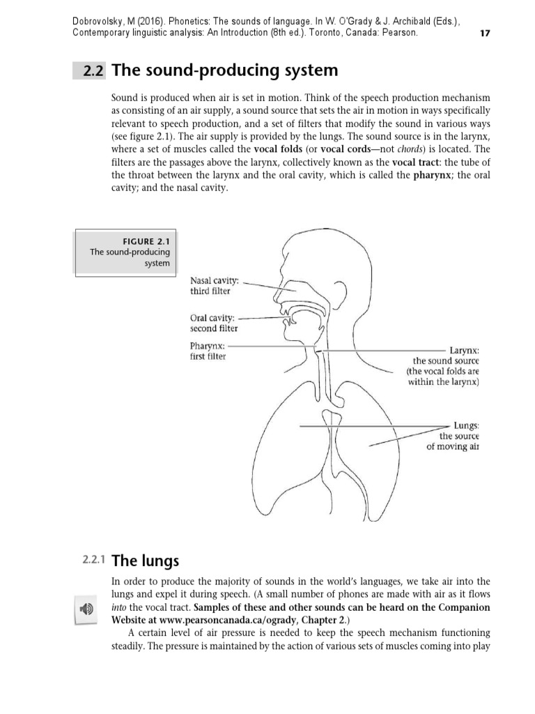 2 The Sound-Producing System | PDF | Larynx | Phonetics