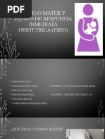 Erio-Equipo de Respuesta Inmediata Obstetrica | PDF | Reproducción ...