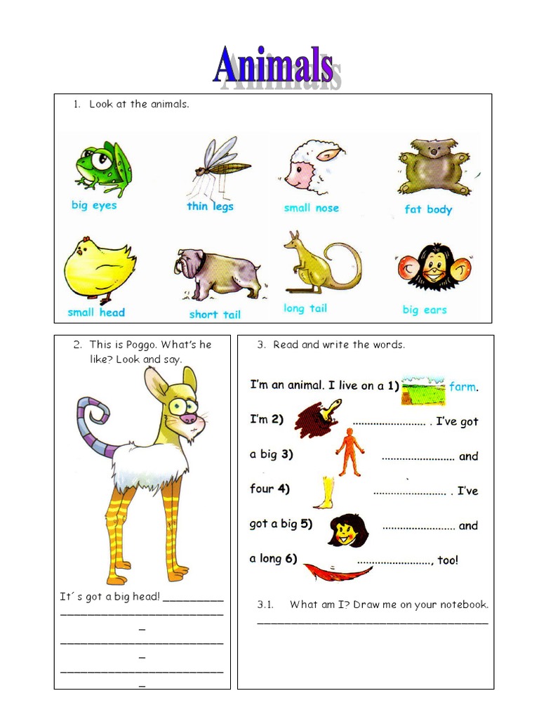 Describing Animals | PDF