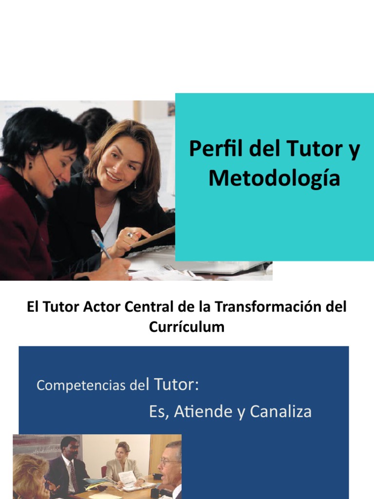 Perfil Del Tutor | PDF | Aprendizaje | Plan de estudios