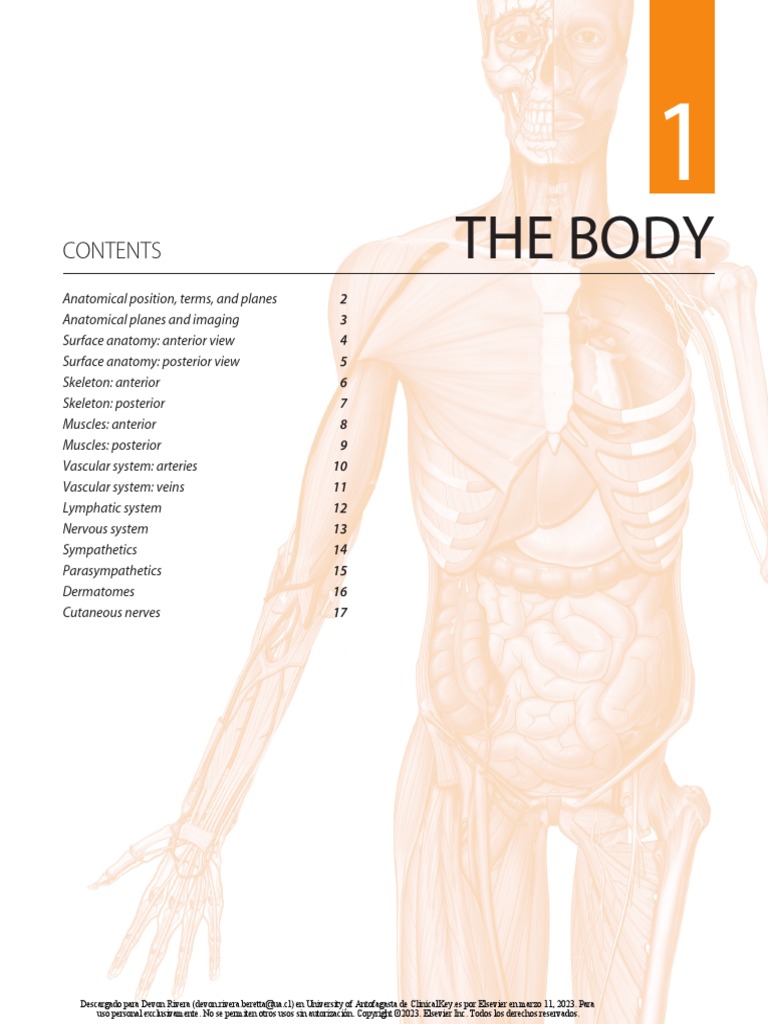 The Body PDF | PDF | Sistema musculoesquelético | Extremidades (anatomía)