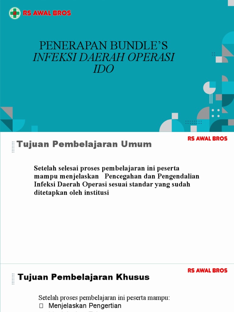 PPI Bundles IDO | PDF