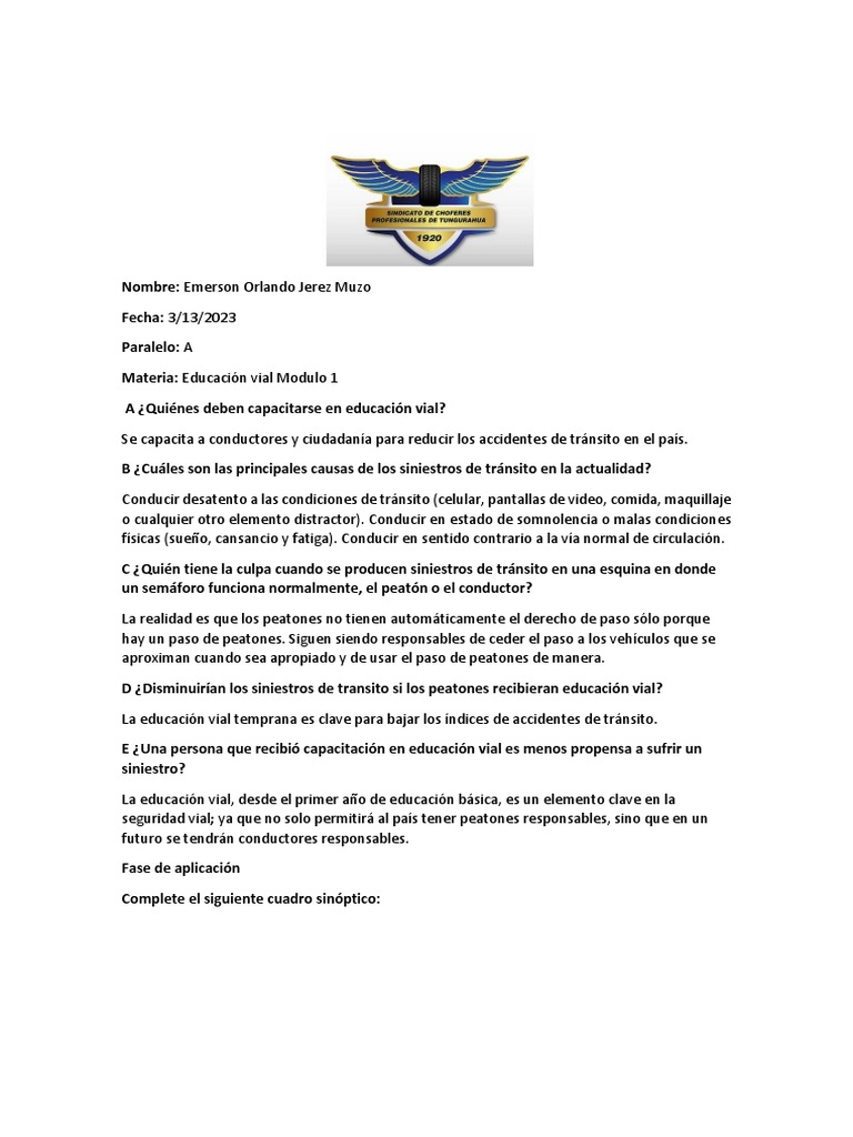 Educación Vial: Clave para la Seguridad | PDF