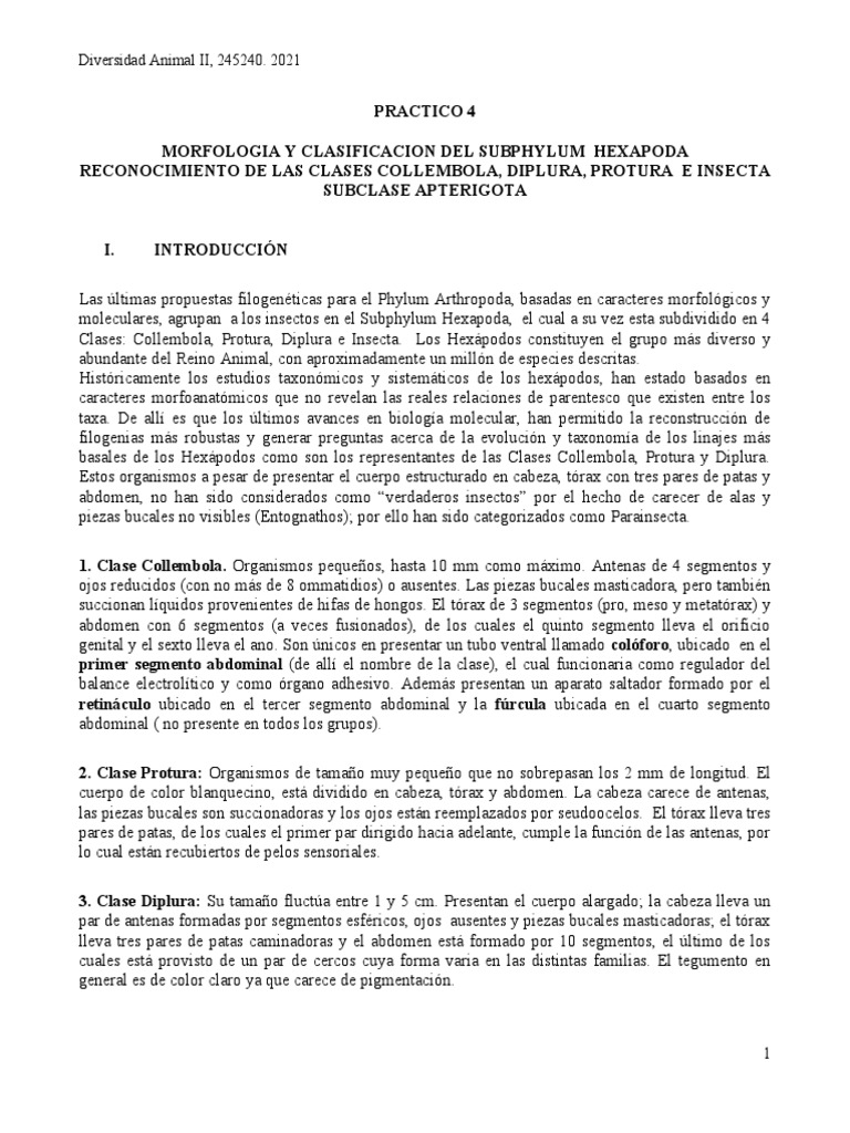 Guia Practico 4. Morfologia y Clasificacion Del Subphylum Hexapoda ...