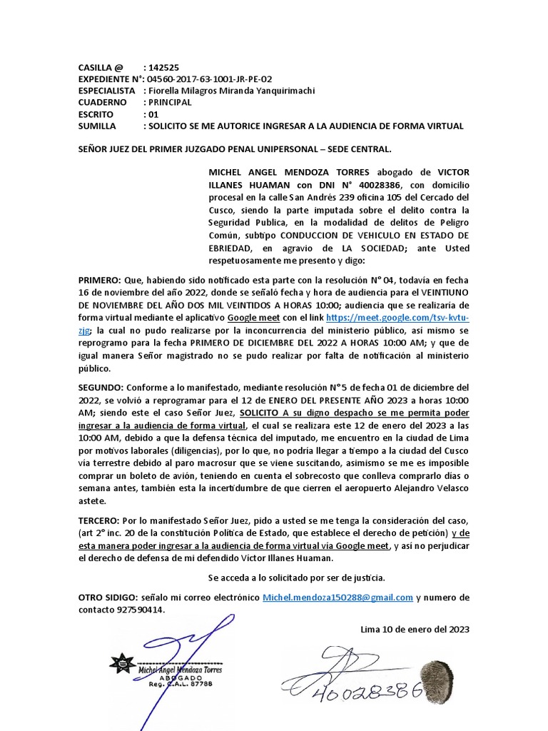 Solicitud de Audiencia Virtual | PDF | Gobierno | Justicia