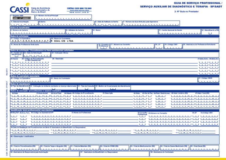 SADT Cassi PDF | PDF