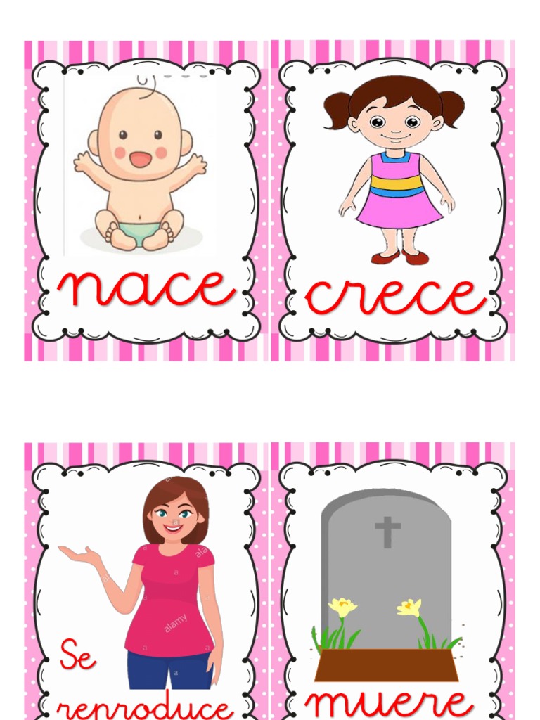 Etapas de La Vida) | PDF