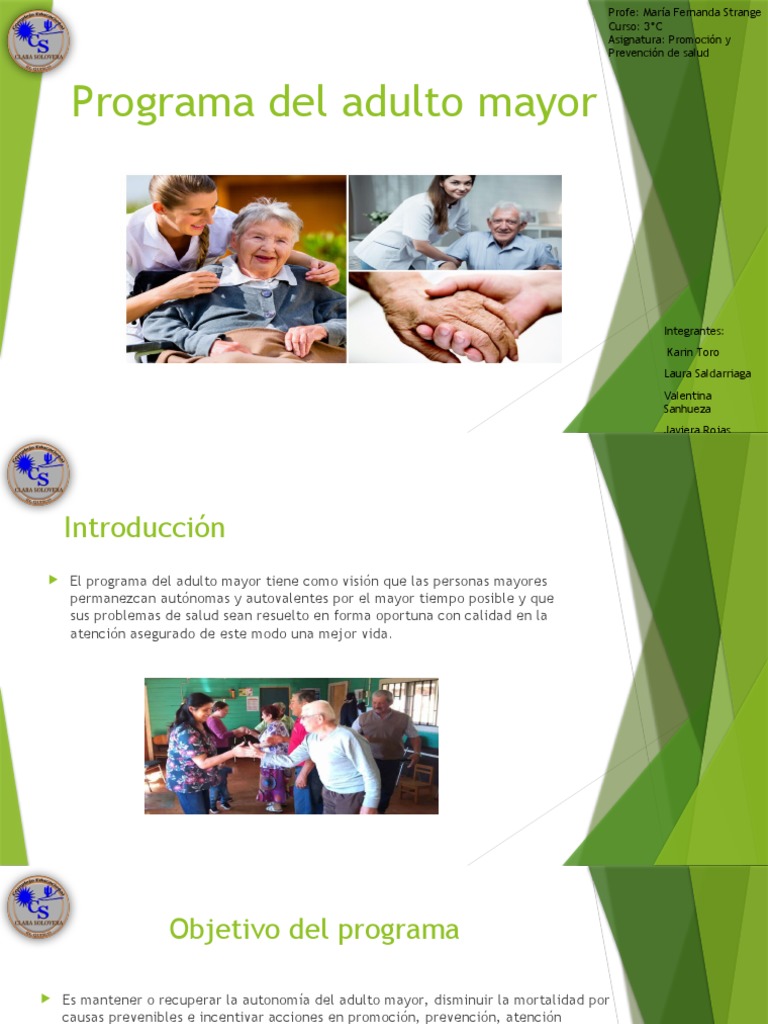 Programa Del Adulto Mayor | PDF