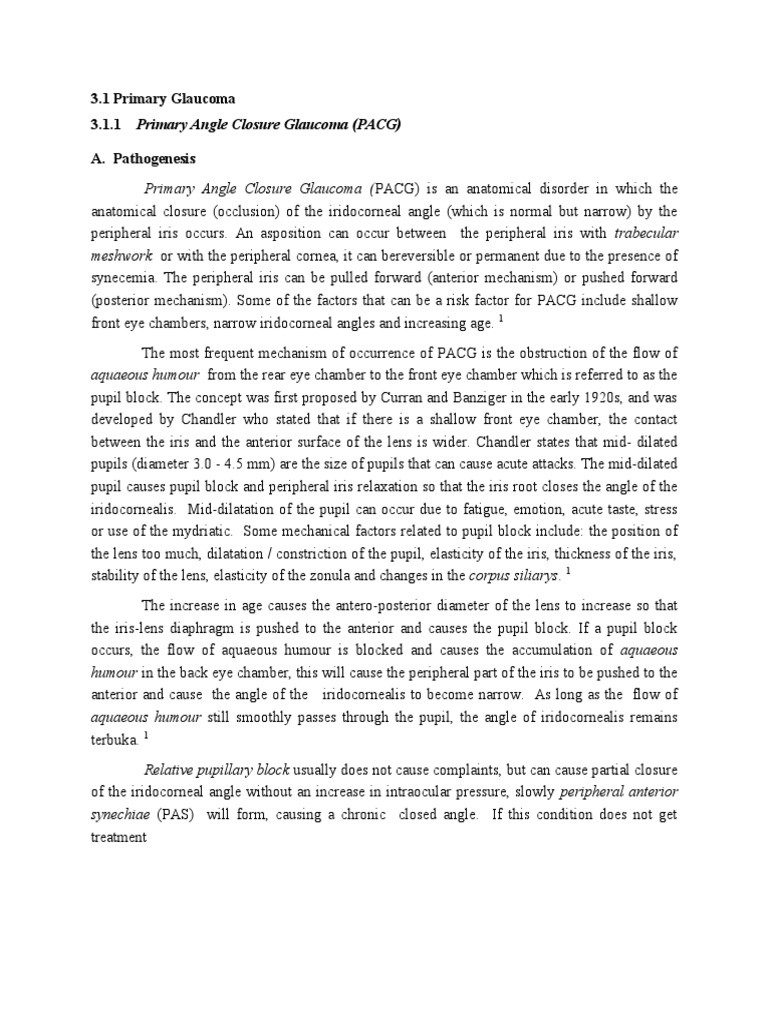 Primary Glaucoma | PDF | Glaucoma | Human Eye