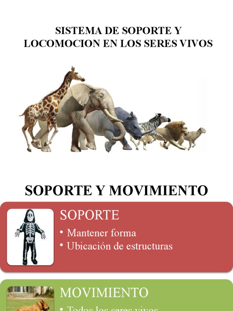 Tipos de locomoción en seres vivos | PDF | Esqueleto | Biología Celular)