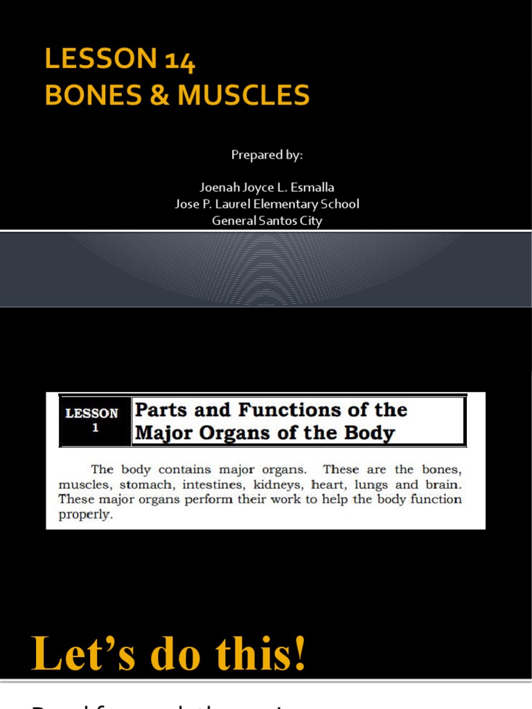 The Coordinated Relationship Between Bones, Muscles, and Joints for ...