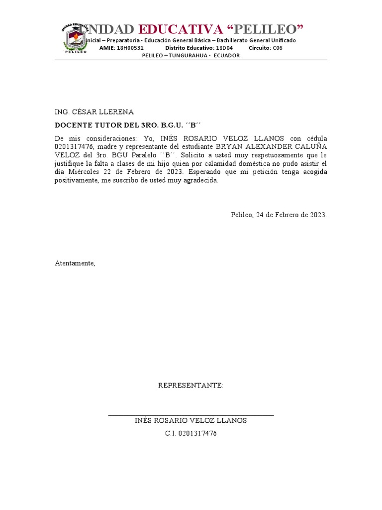 Solicitud de justificación de falta a clases por calamidad doméstica | PDF