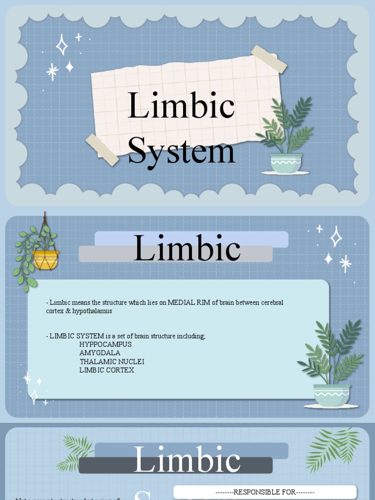 Overview of the Limbic System | PDF