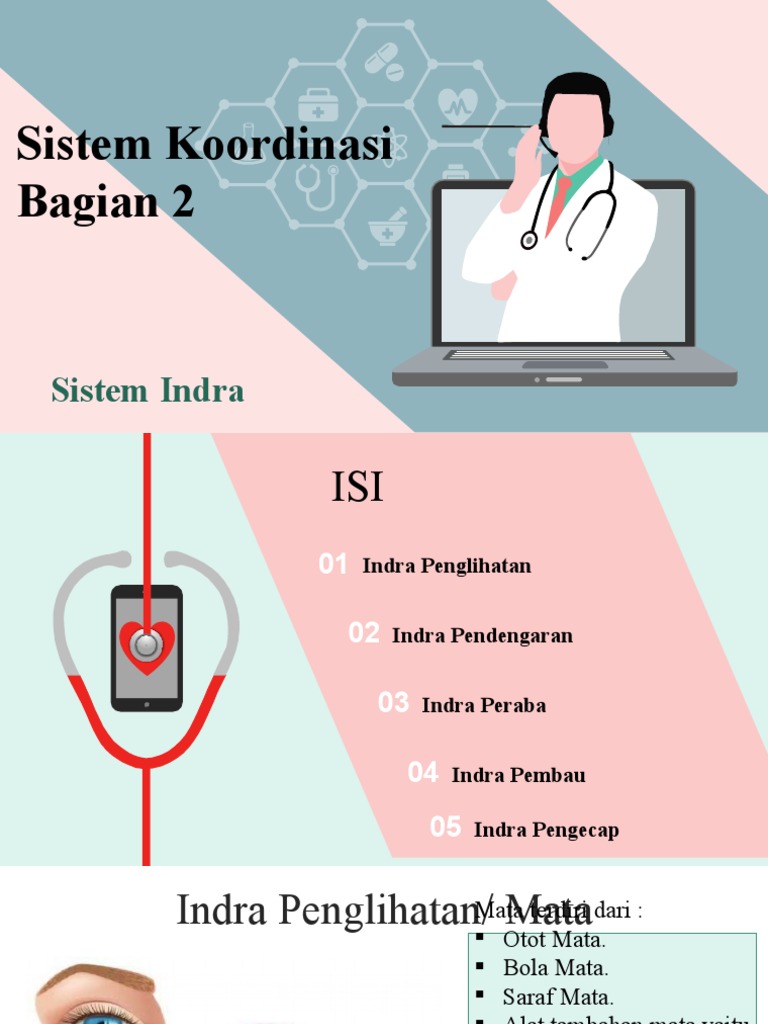 Sistem Koordinasi Bagian 2 Sistem Indera | PDF