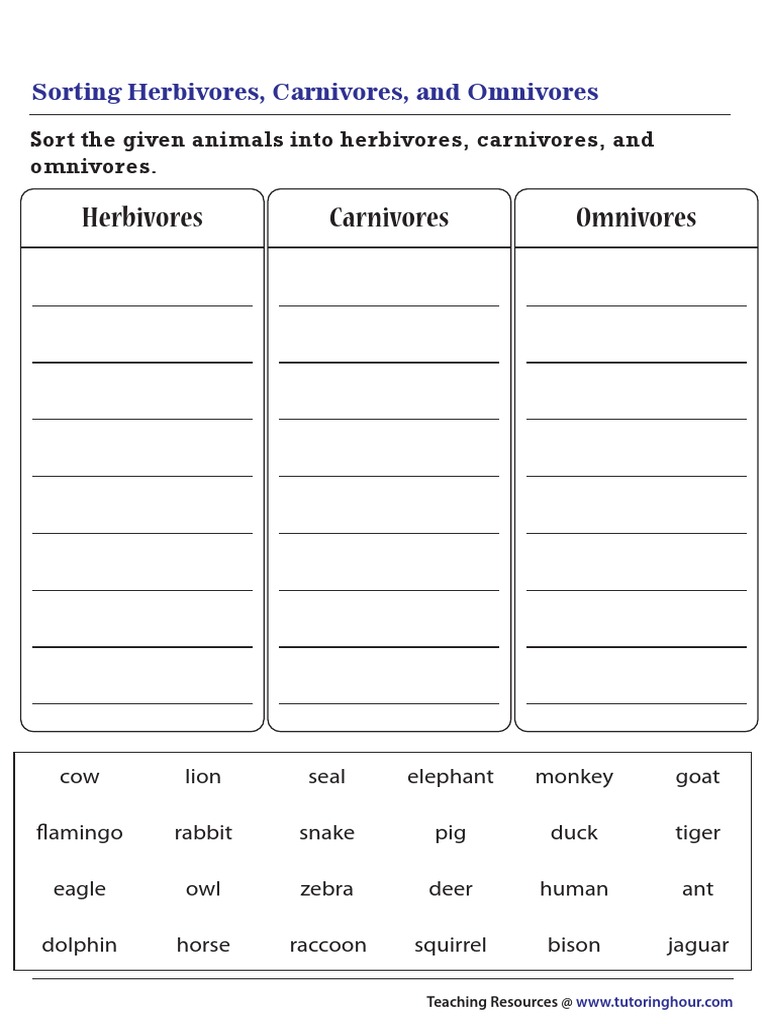 Sorting Herbivores, Carnivores and Omnivores | PDF