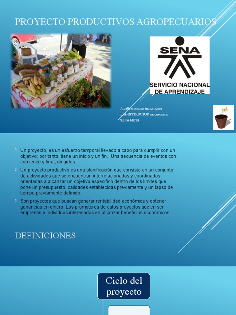 Proyecto Productivos Agropecuarios | PDF | Planificación estratégica ...