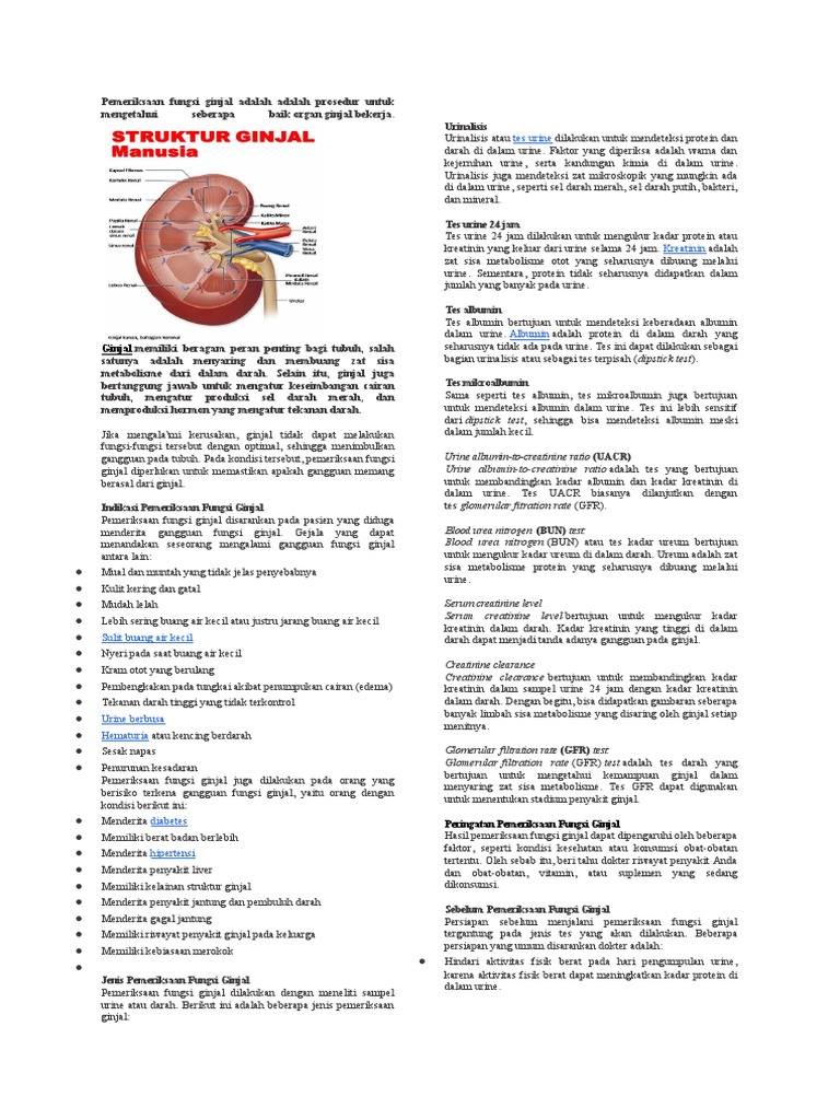 leaflet pemeriksan ginjal | PDF