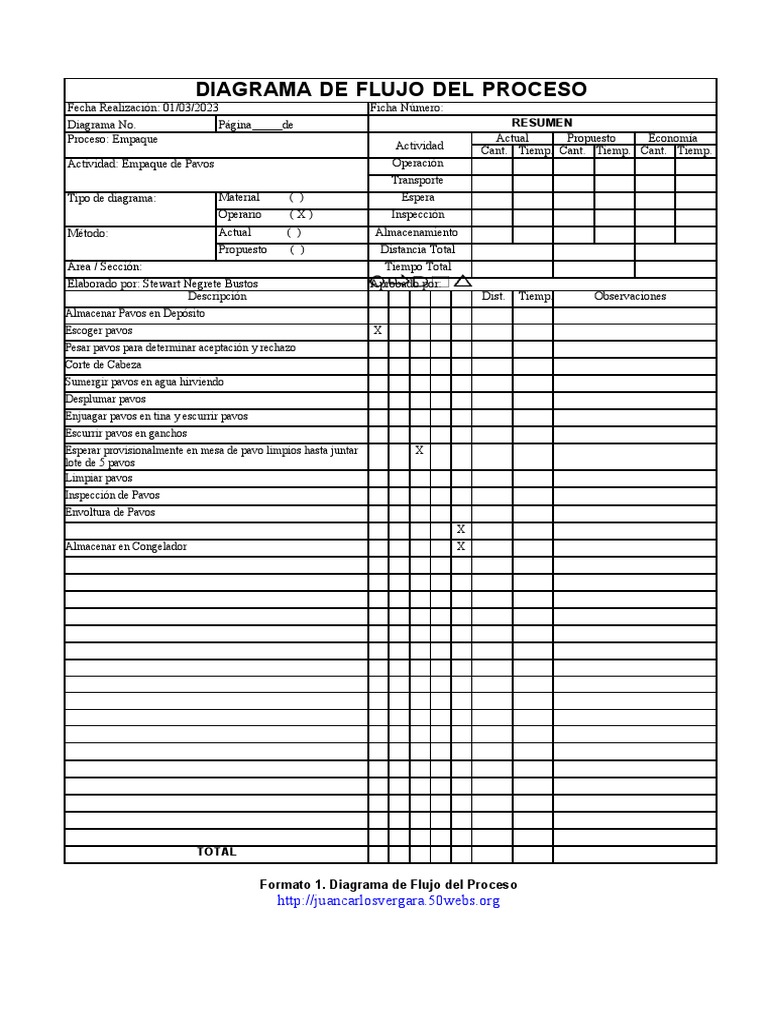 Formato Diagrama de Flujo Del Proceso | PDF