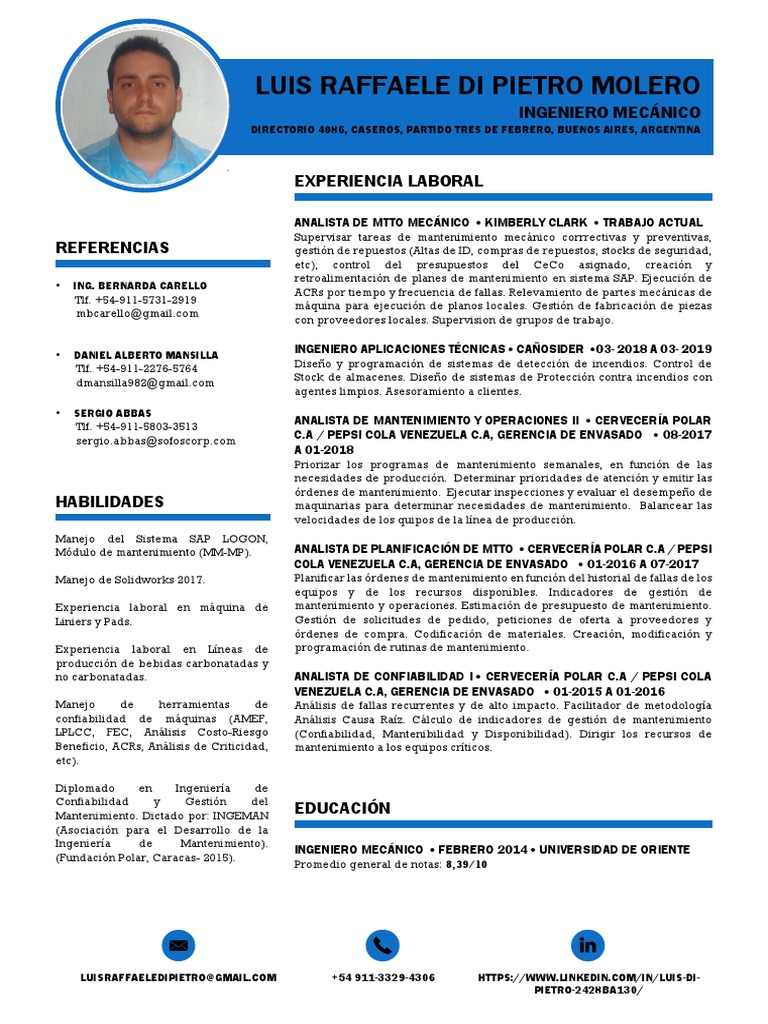 CV LUIS DP Actualizado | PDF