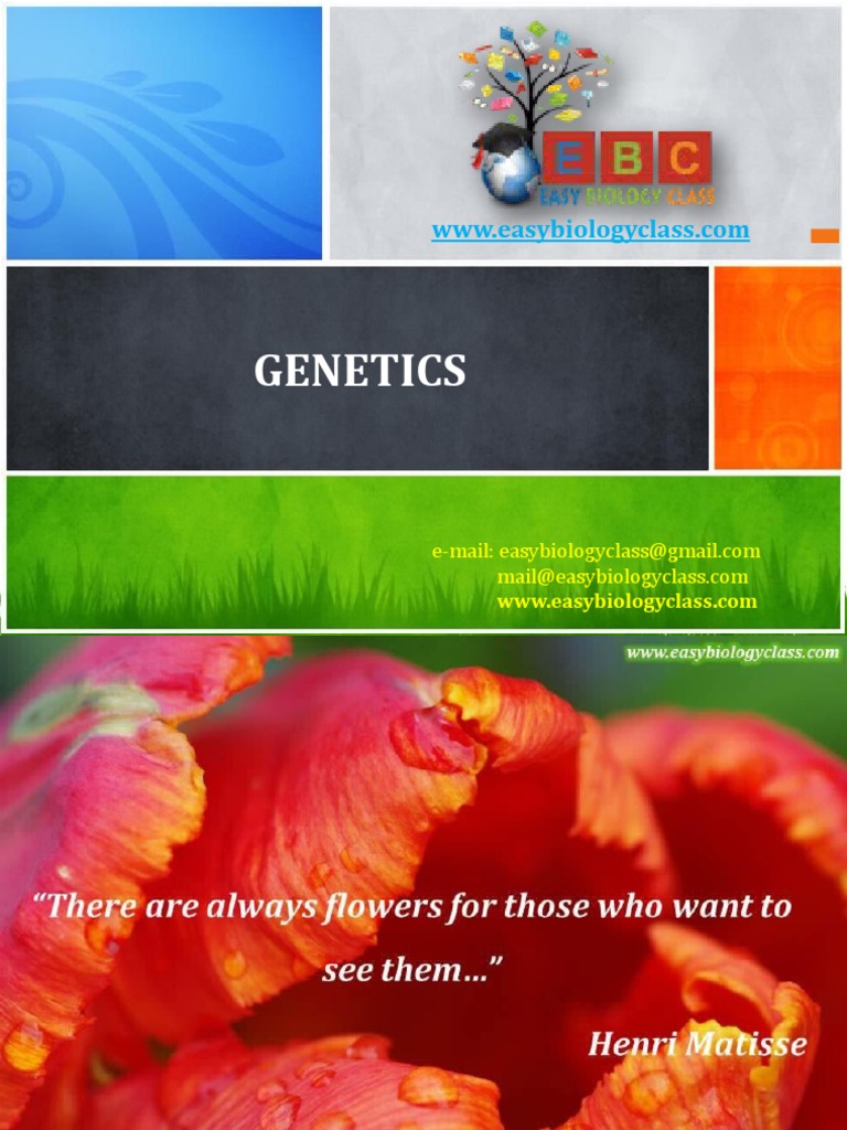 Introduction-to-Genetics-PPT-by-Easybiologyclass 2 | PDF | Genotype ...