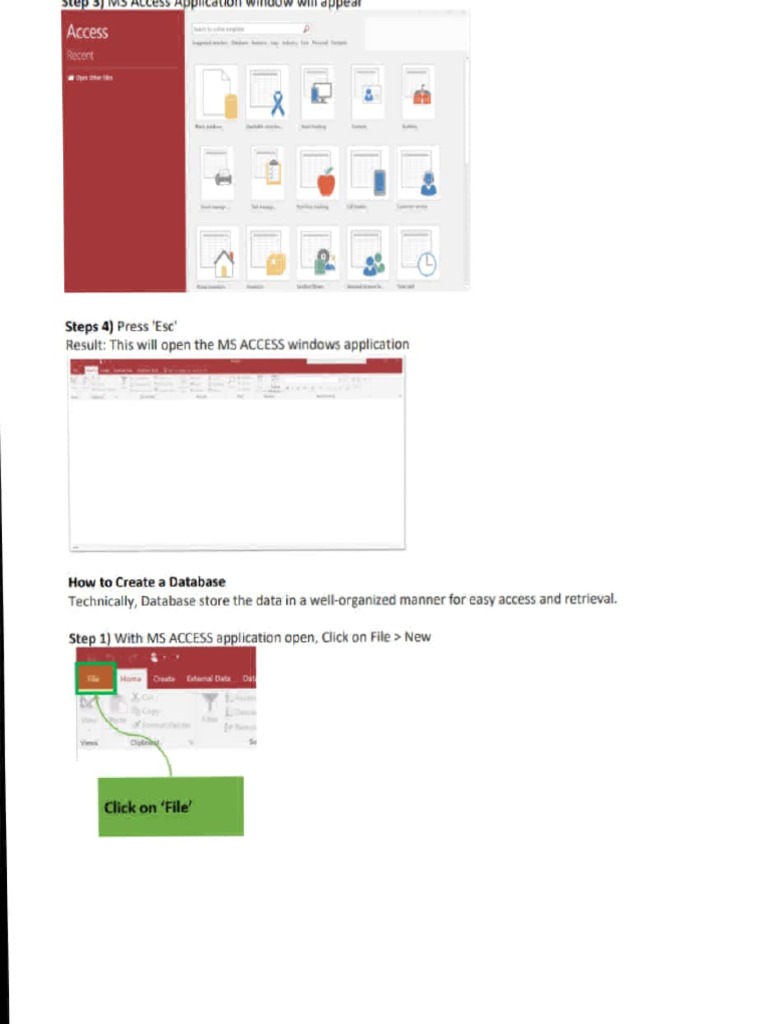 DBMS SS PDF | PDF | Databases | Microsoft Access