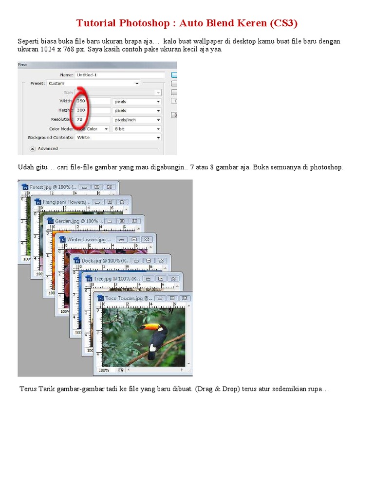 Tutorial Photoshop Auto Blend Keren CS3 | PDF