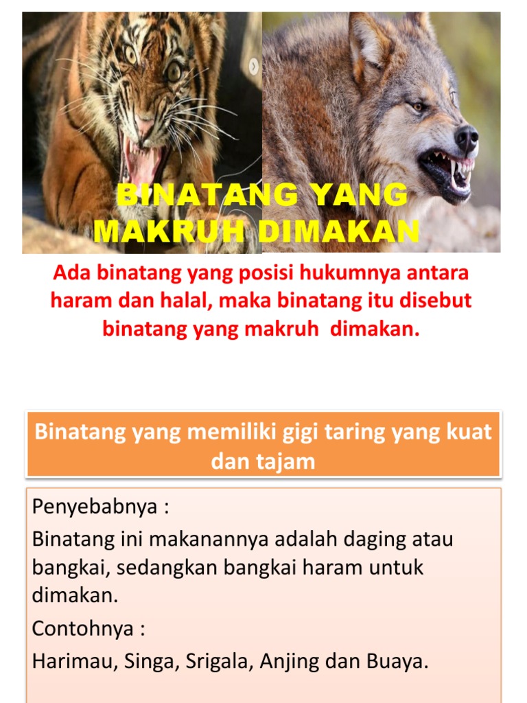 Binatang Yang Makruh Dimakan | PDF | Kesehatan Holistik | Sains ...