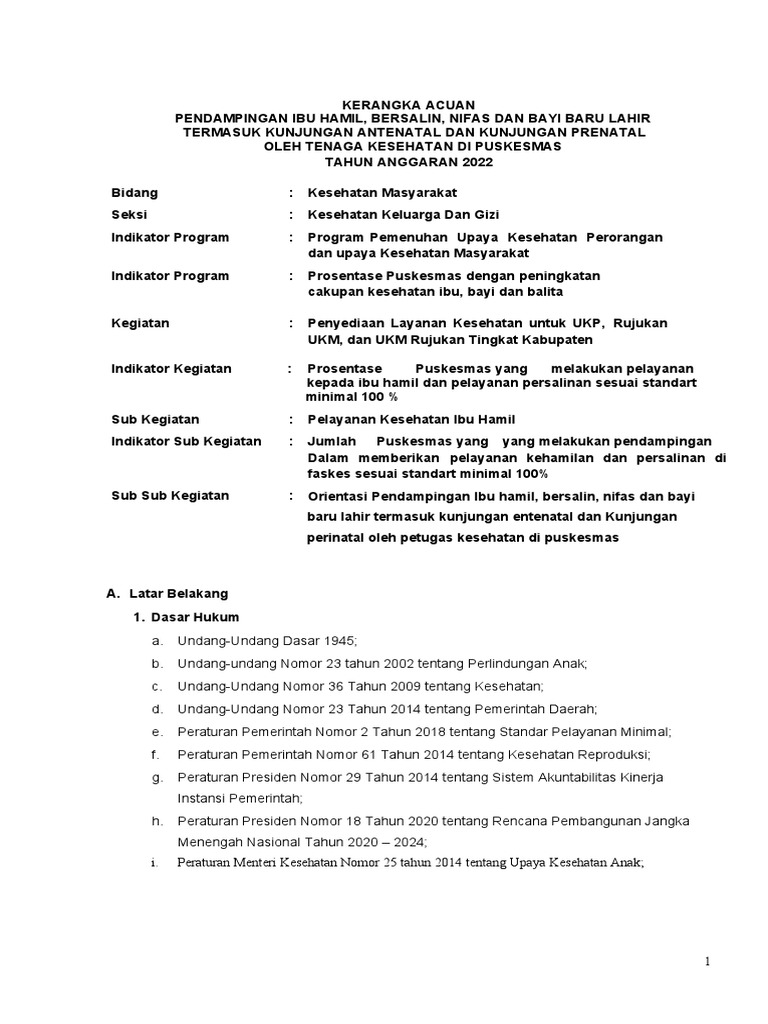 KAK Pendampingan Bumil Bulin Nifas Dan BBL | PDF